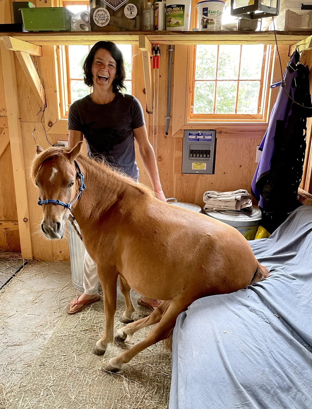 Our team — Ecology in Classrooms & Outdoors