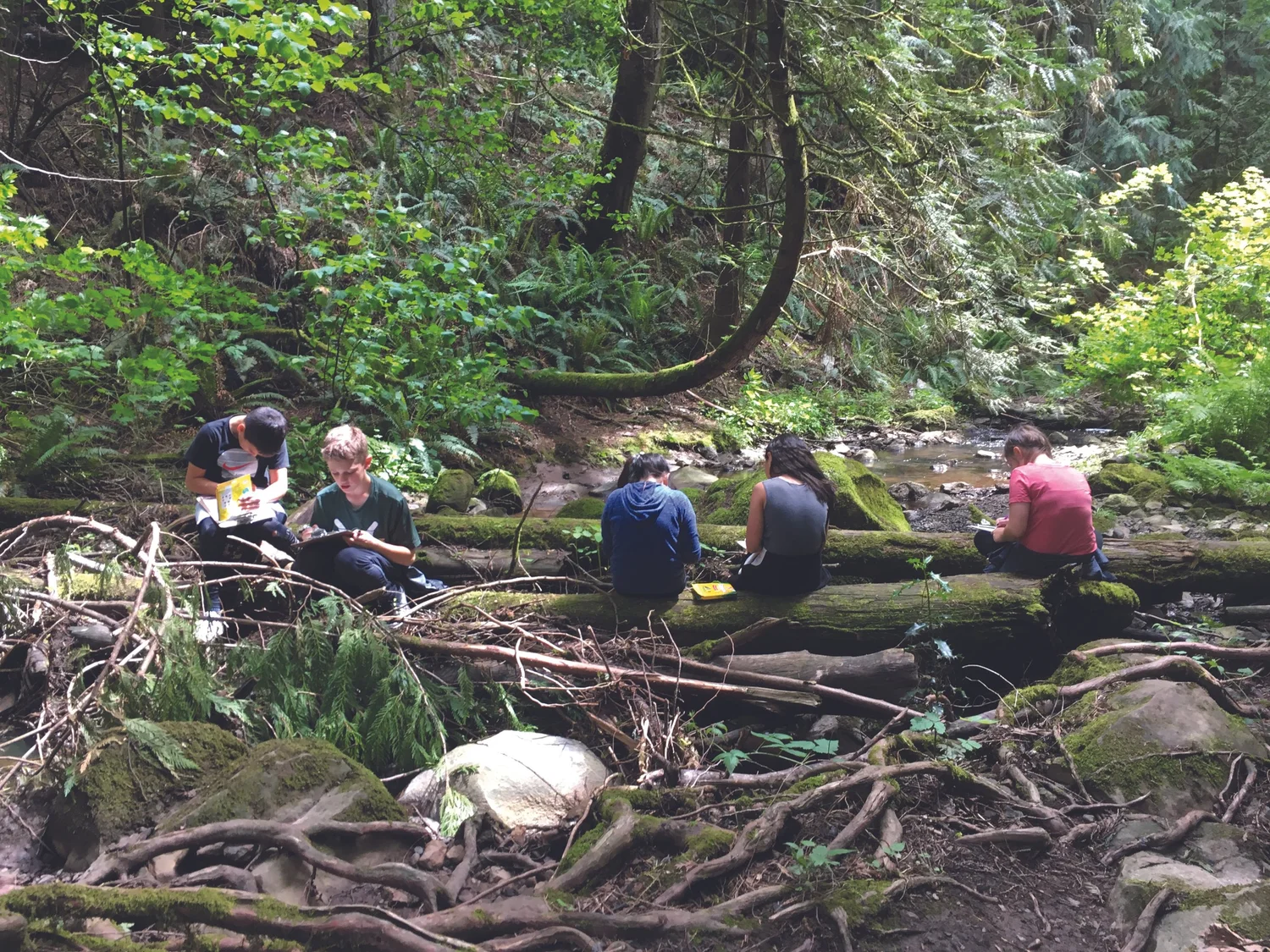 About | Explore Nature & Act Now — Ecology in Classrooms & Outdoors