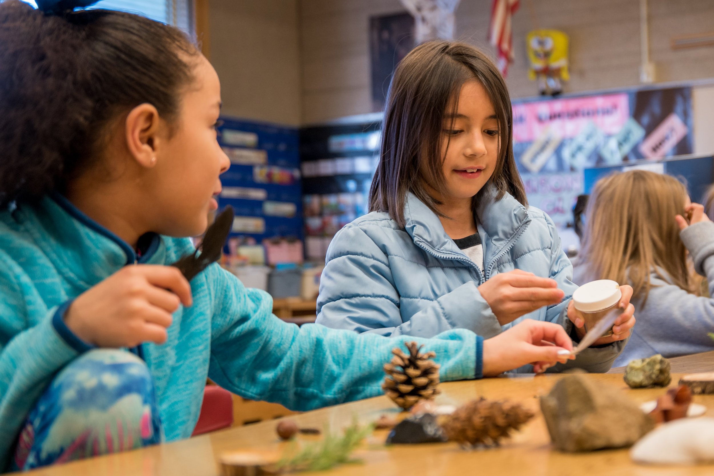 Careers | Join Our Eco Team Today — Ecology in Classrooms & Outdoors