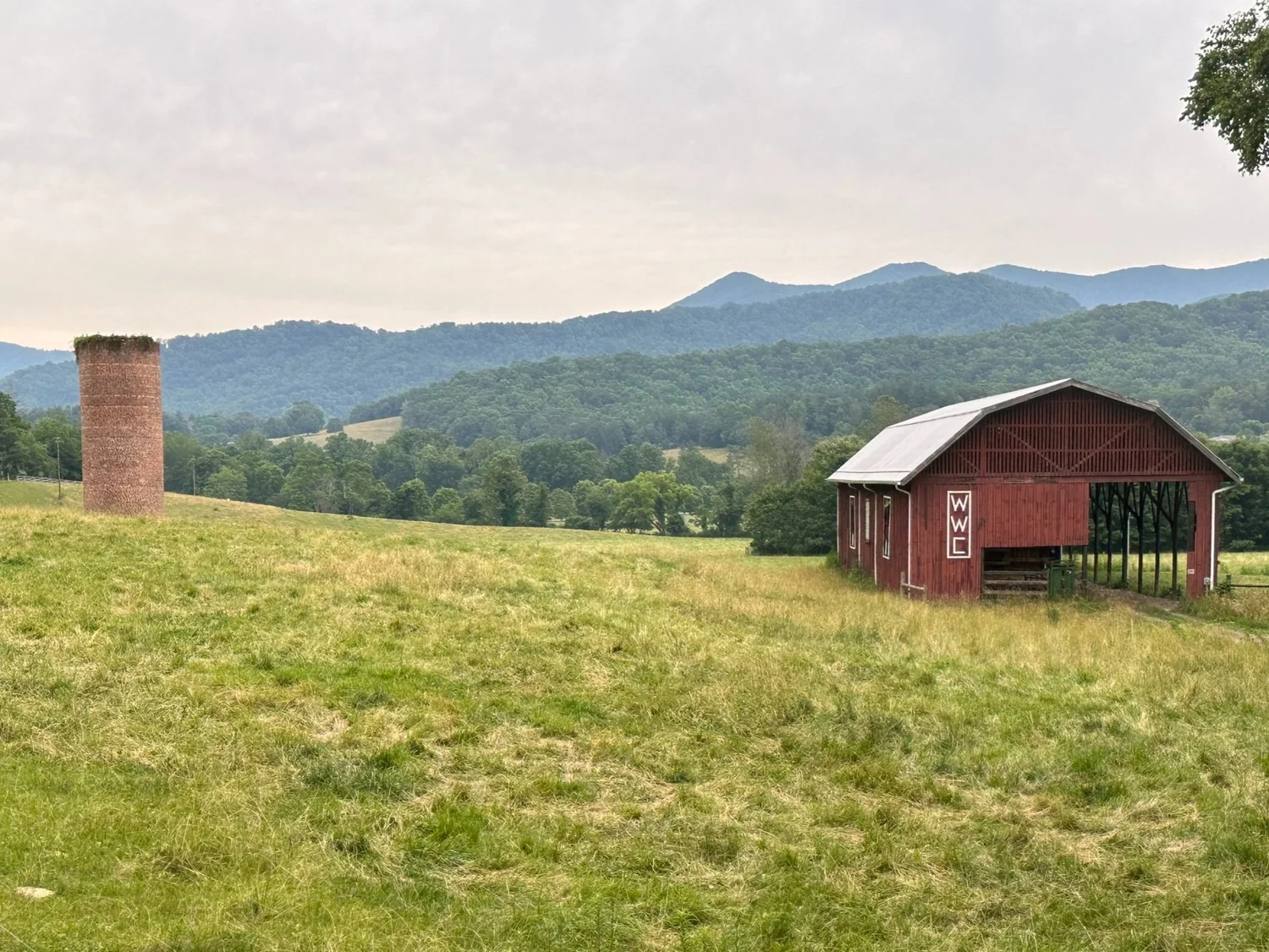 Friends and Neighbors of Swannanoa