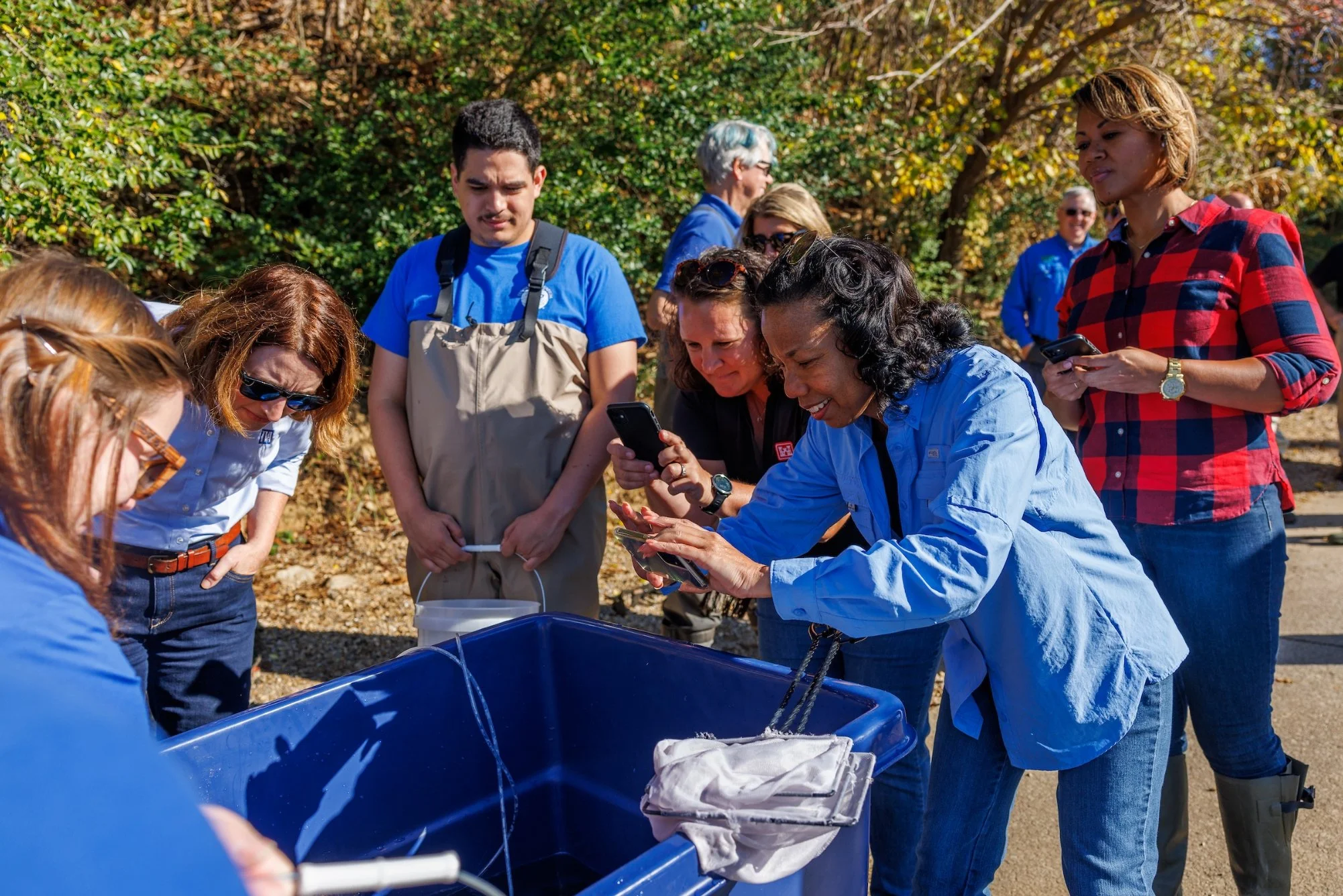 Services — Laura Calandrella Consulting