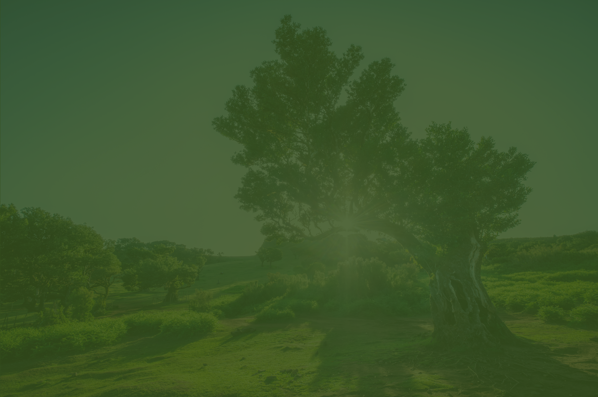 Our Services — Green Counseling Services