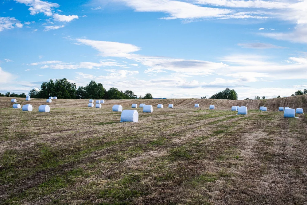 Parcelas agrícolas Pampas del Sur