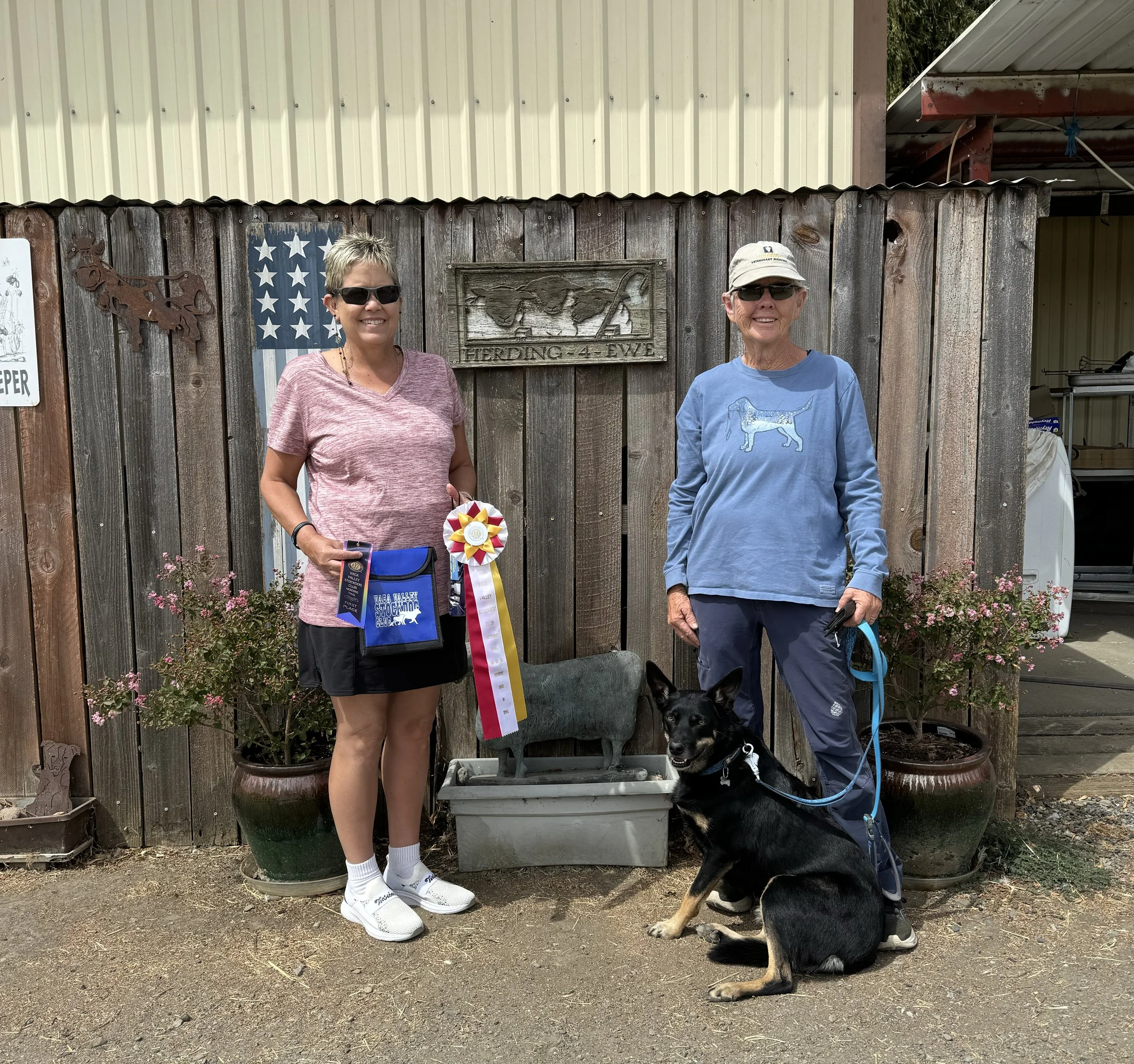 Updates — Lisa Edwards Stockdogs