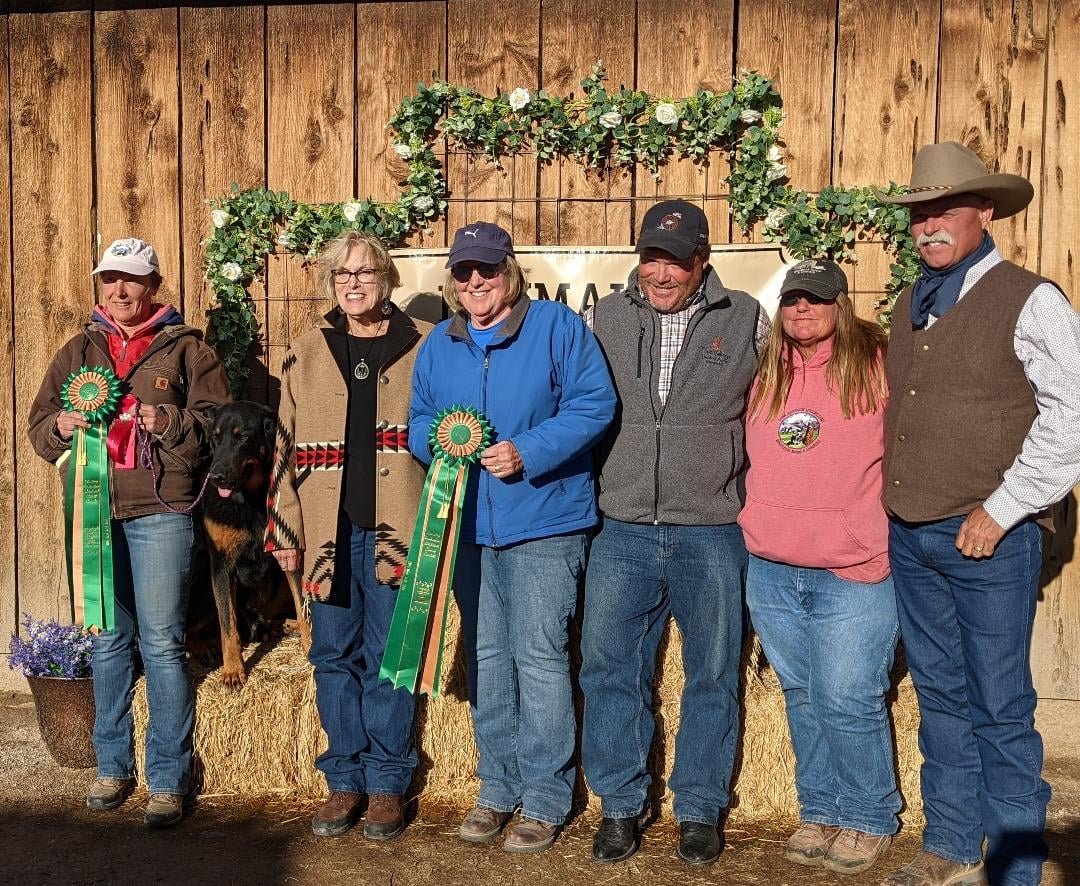 Lisa Edwards Stockdogs - training herding facility — Lisa Edwards Stockdogs