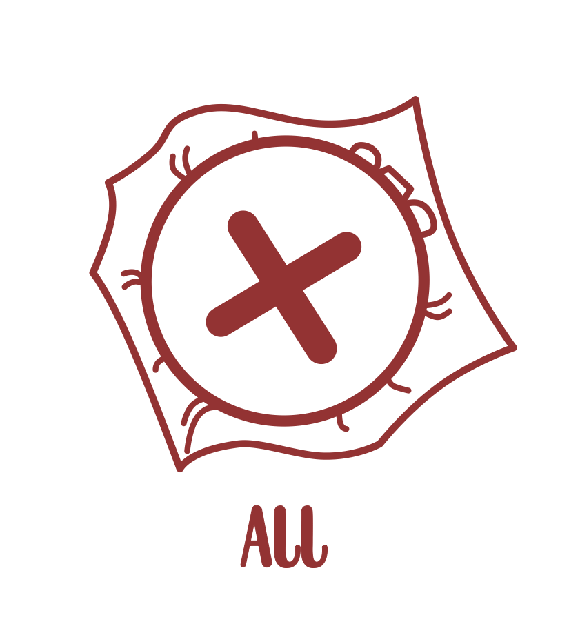 Tiny Threads — Tatreez Traditions