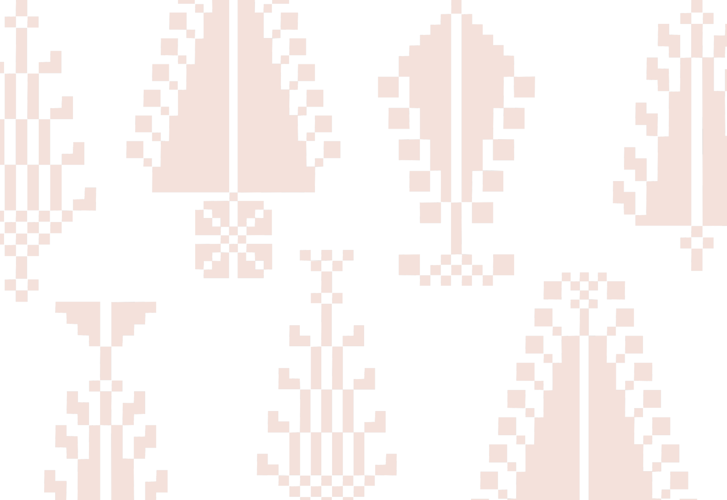 About — Tatreez Traditions