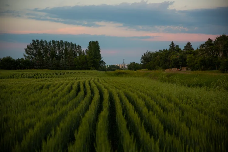 Sharpe's Crop Services