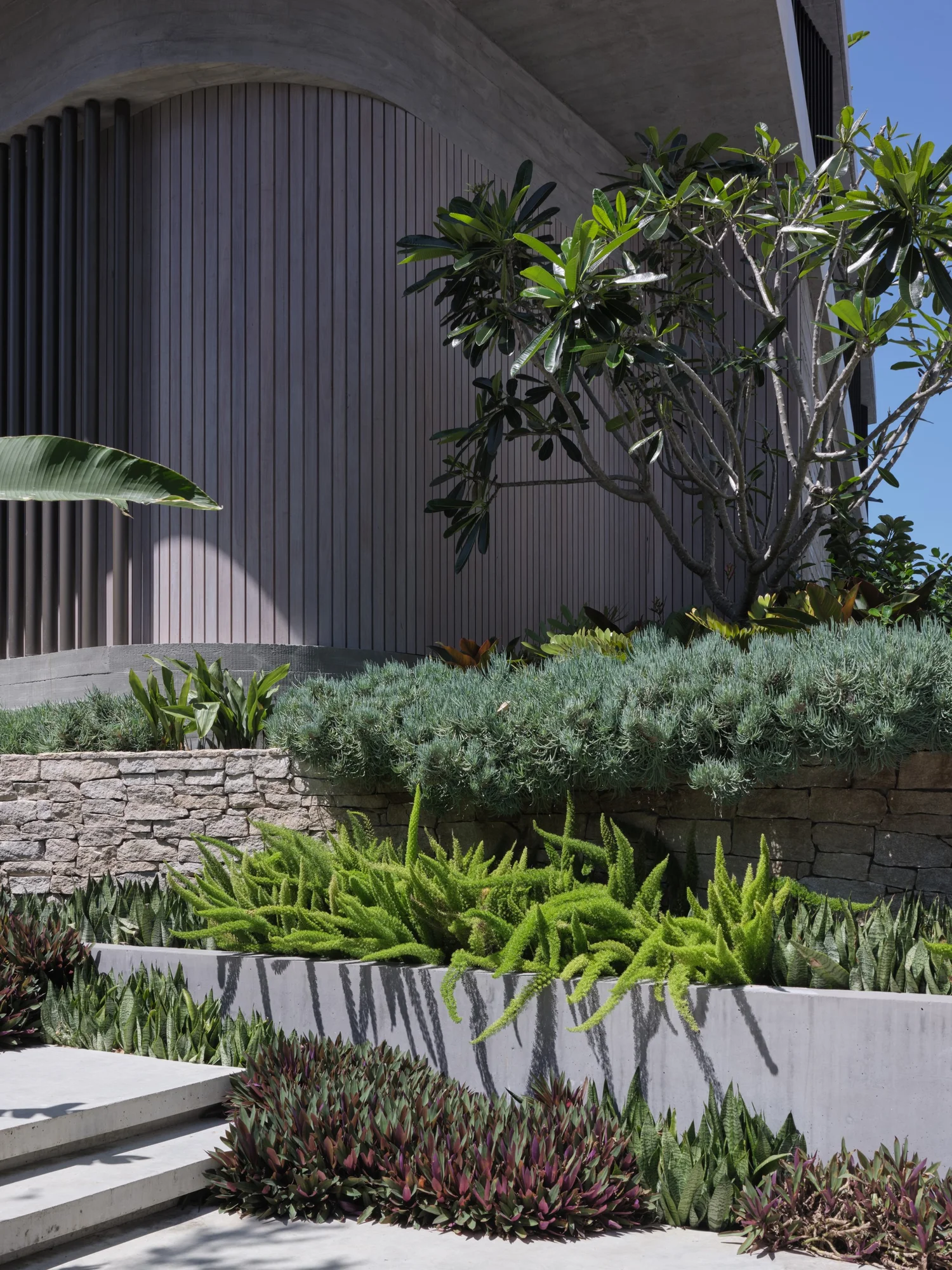IRON HOUSE — Tim Stewart Architects - Brisbane Architects
