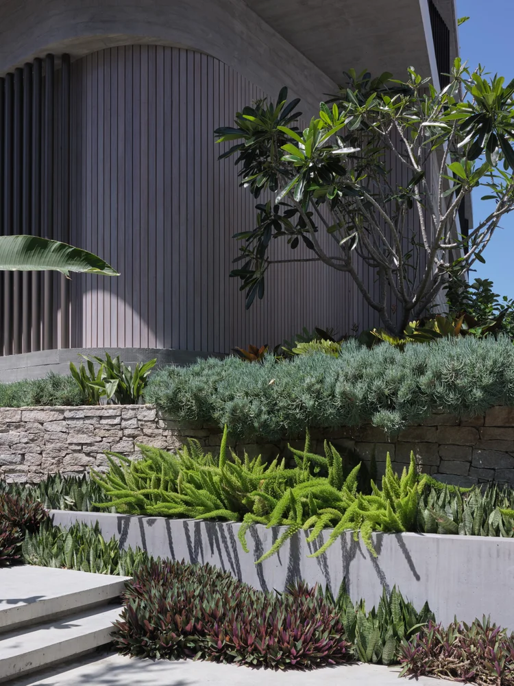 IRON HOUSE — Tim Stewart Architects - Brisbane Architects