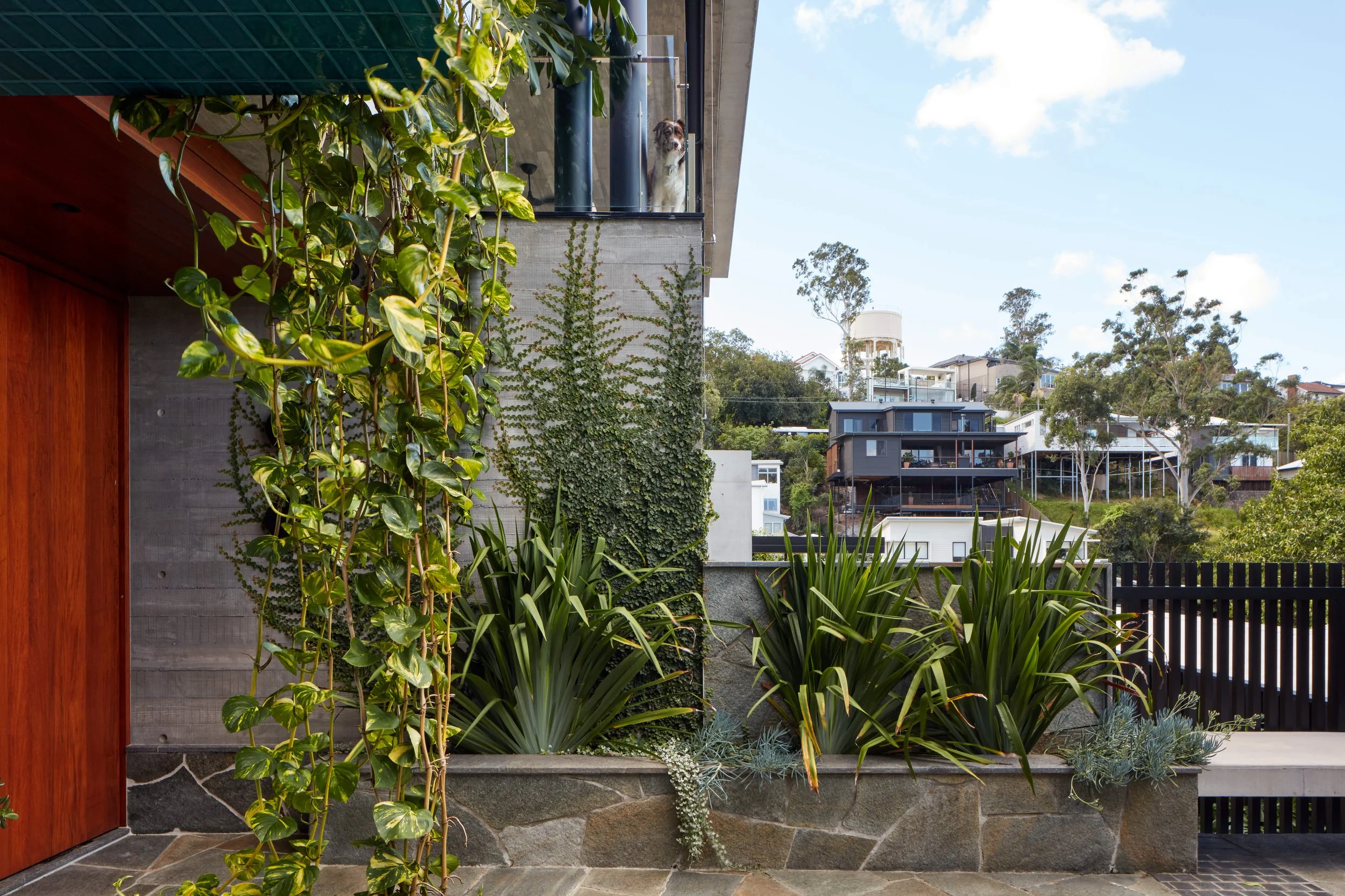 FERNBERG — Tim Stewart Architects - Brisbane Architects