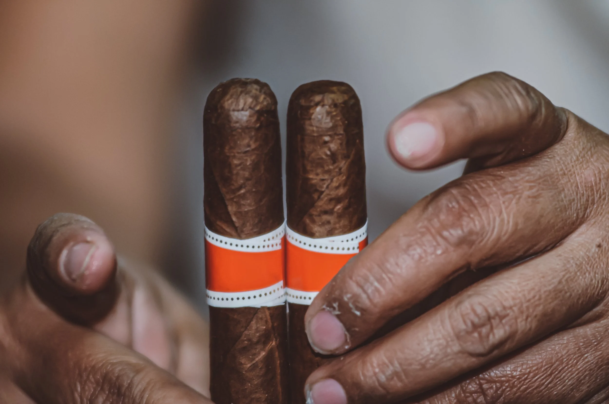The Artisans - Our Master Cigar Rollers | Fabrica De Puros — FABRICA DE ...