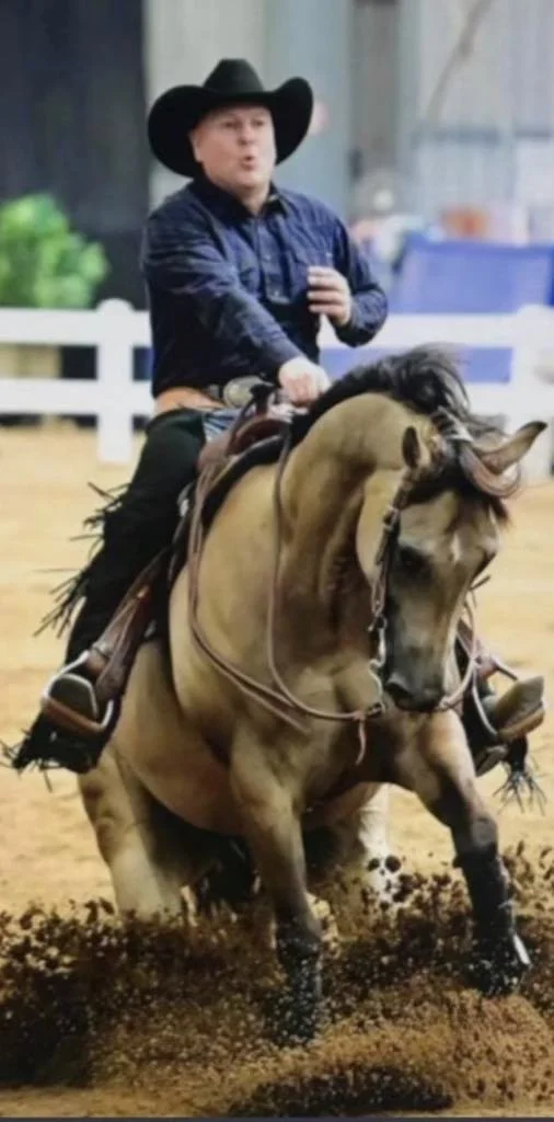 NRHA Trainers Directory — NRHA Oceania | National Reining Horse Association