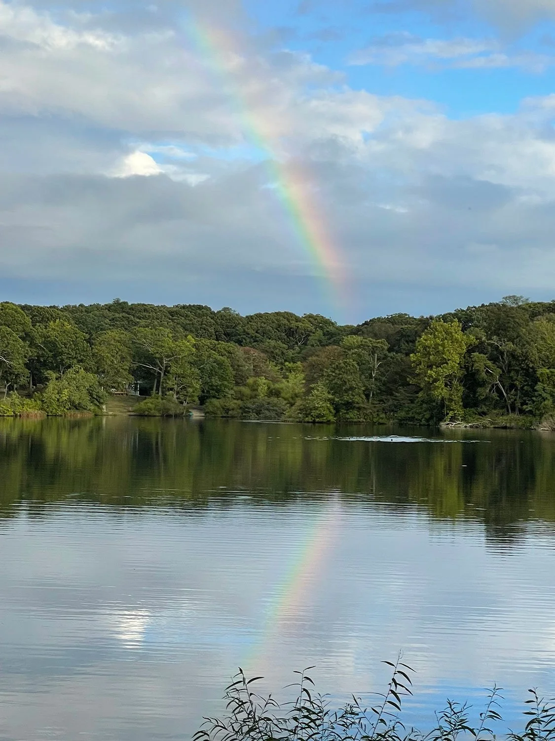 Photos of Fresh Pond Shelter Island — Fresh Pond Neighbors Association