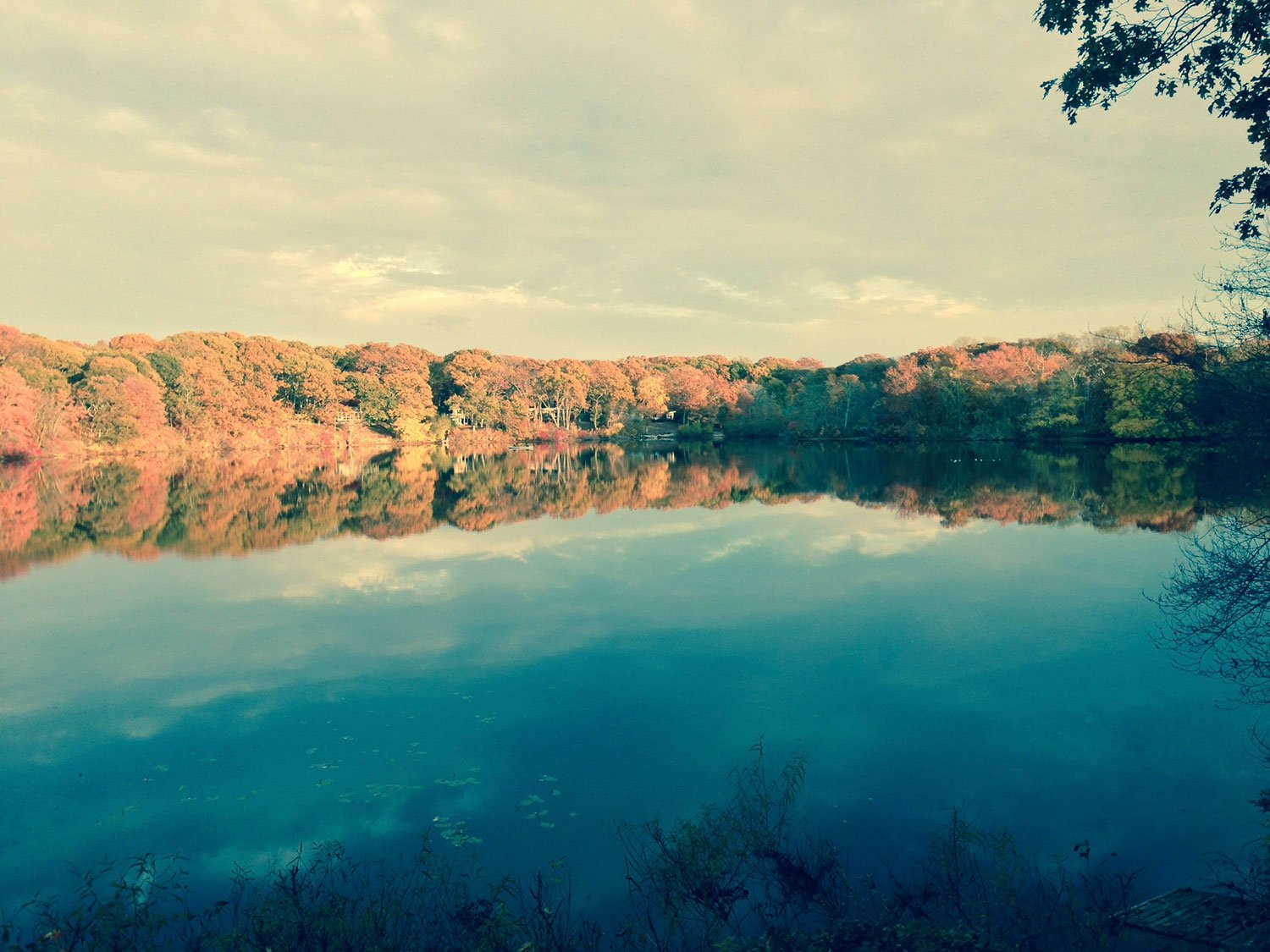 Photos of Fresh Pond Shelter Island — Fresh Pond Neighbors Association