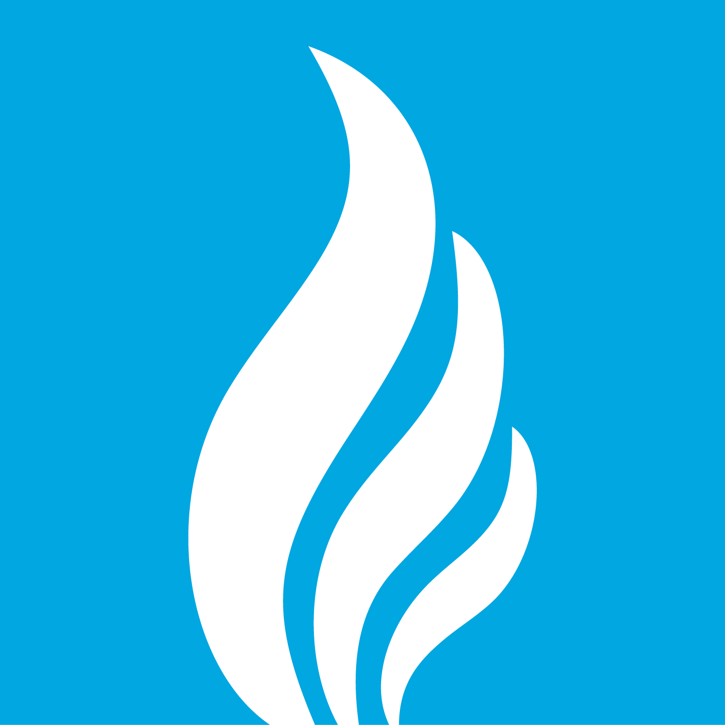 True Light Christian School