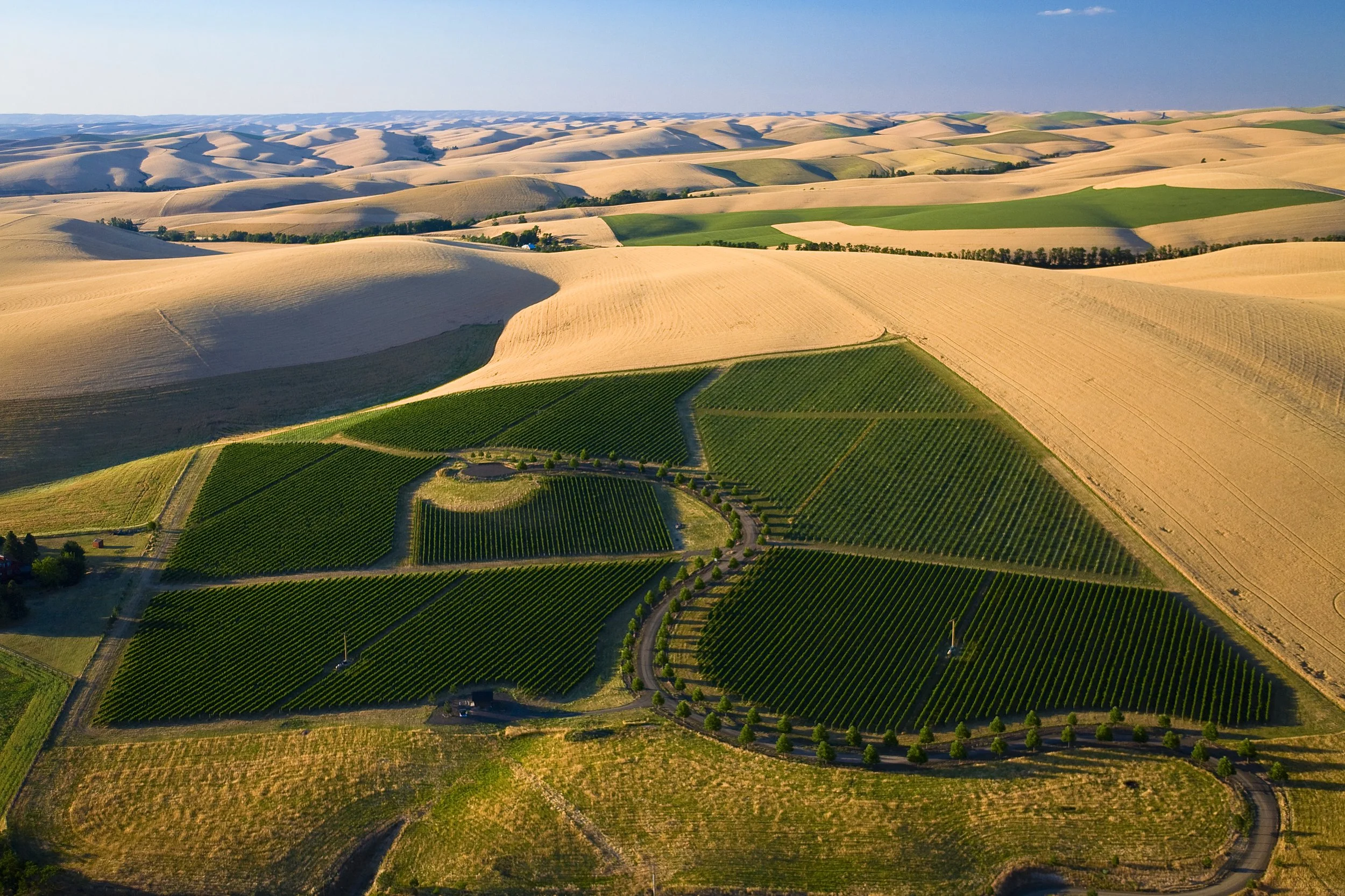 Experience — FIGGINS Winery