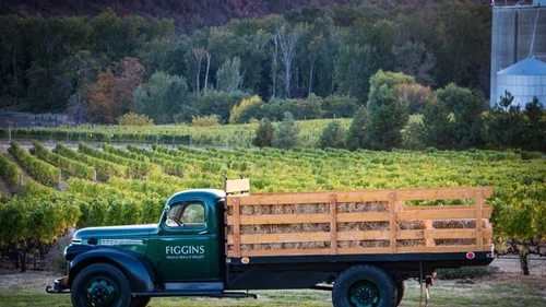 FIGGINS | World-Class Estate Wines from Walla Walla, WA
