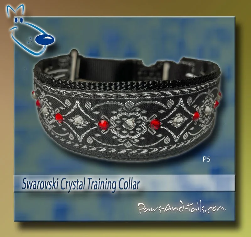 Precious Metal Show Collar for Dogs — Paws and Tails