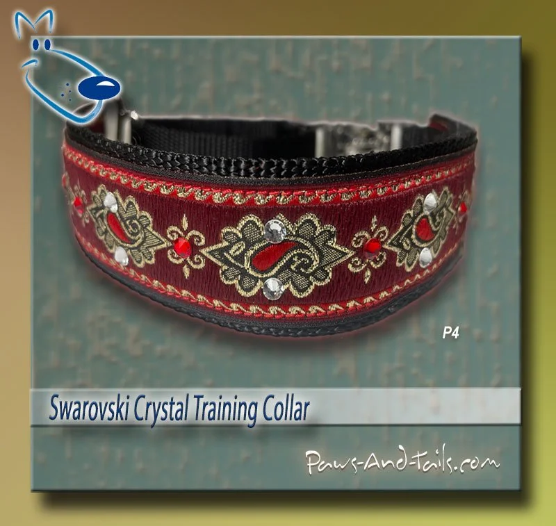 Precious Metal Show Collar for Dogs — Paws and Tails
