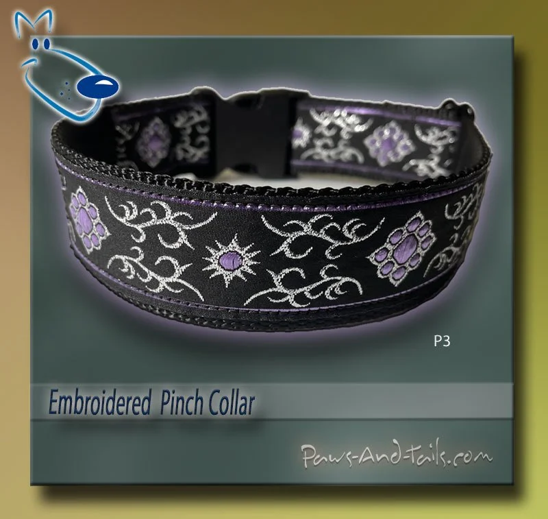 Precious Metal Show Collar for Dogs — Paws and Tails