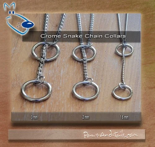 Precious Metal Show Collar for Dogs — Paws and Tails