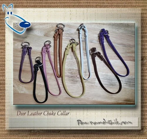 Precious Metal Show Collar for Dogs — Paws and Tails