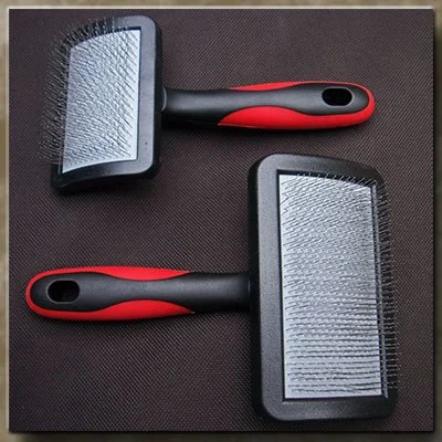 Dog Show Grooming Chalk — Paws and Tails