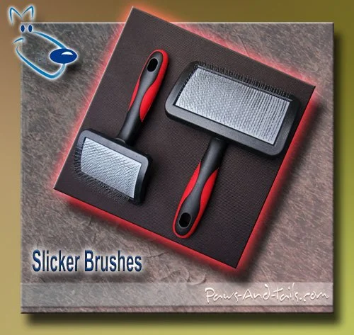 Dog Show Grooming Chalk — Paws and Tails