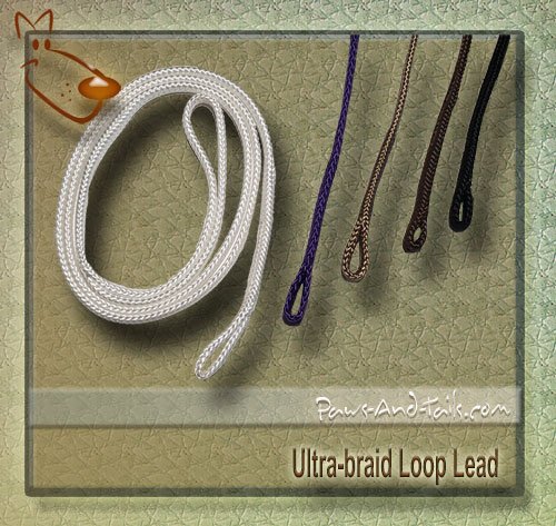 Beaded Ultra-Braid Dog Show Leads — Paws and Tails