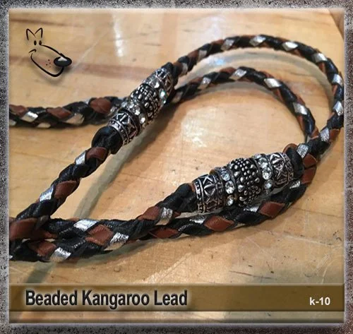 Beaded Resco Style Dog Show Lead with Kindness Collar — Paws and Tails