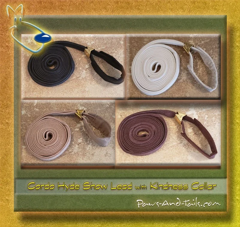 Beaded Resco Style Dog Show Lead with Kindness Collar — Paws and Tails