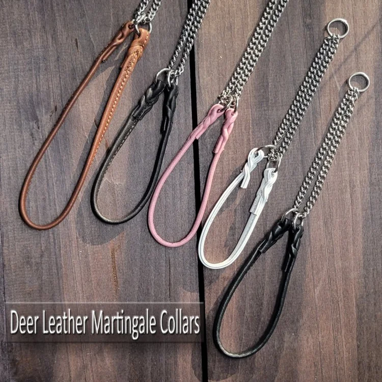 Deer Leather Choke / Slip Collar for Dogs — Paws and Tails