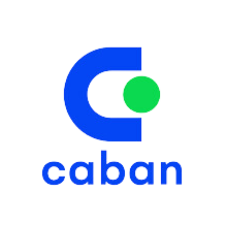 Carolyn Ingram Coaching