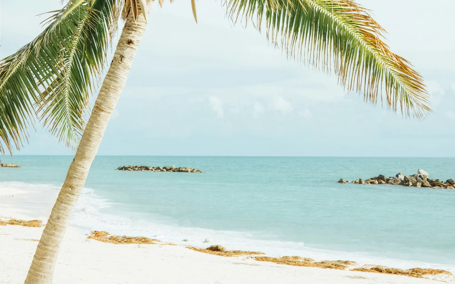 Happy Landings Marina - In the News - Key West’s Only In-Slip Boat ...