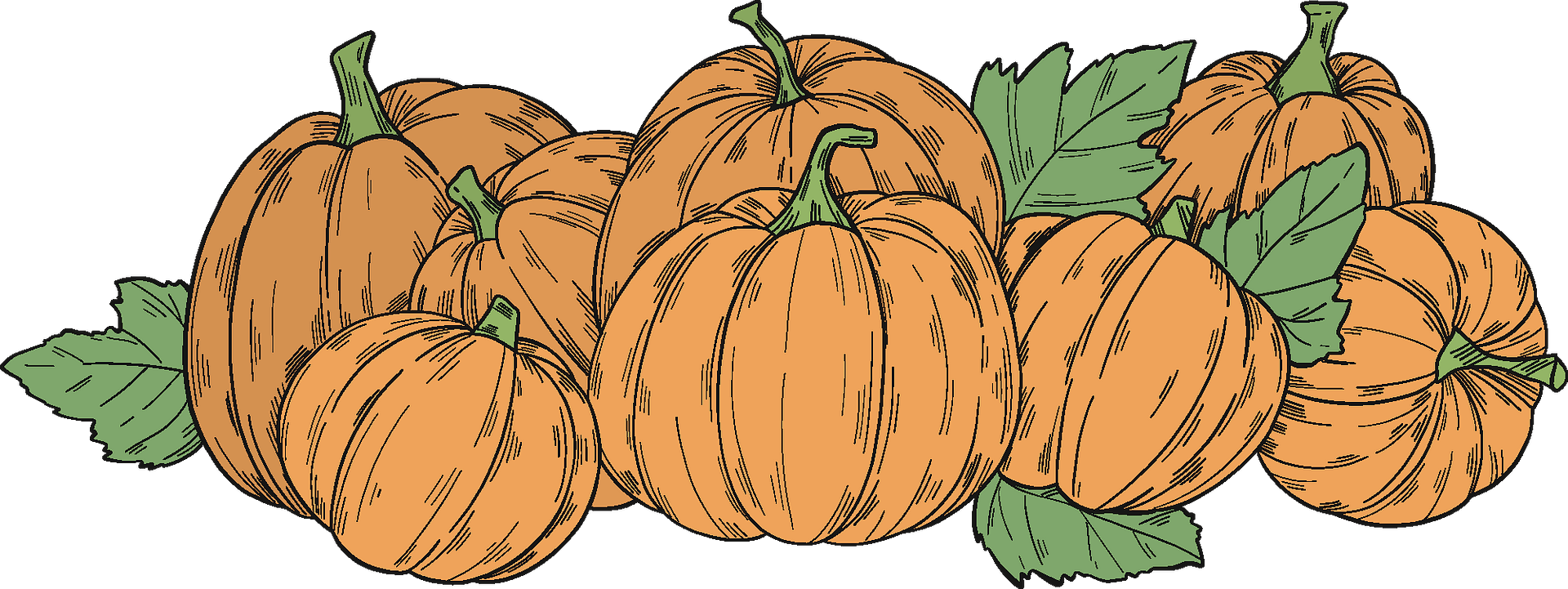 Junior Programs — Aptc