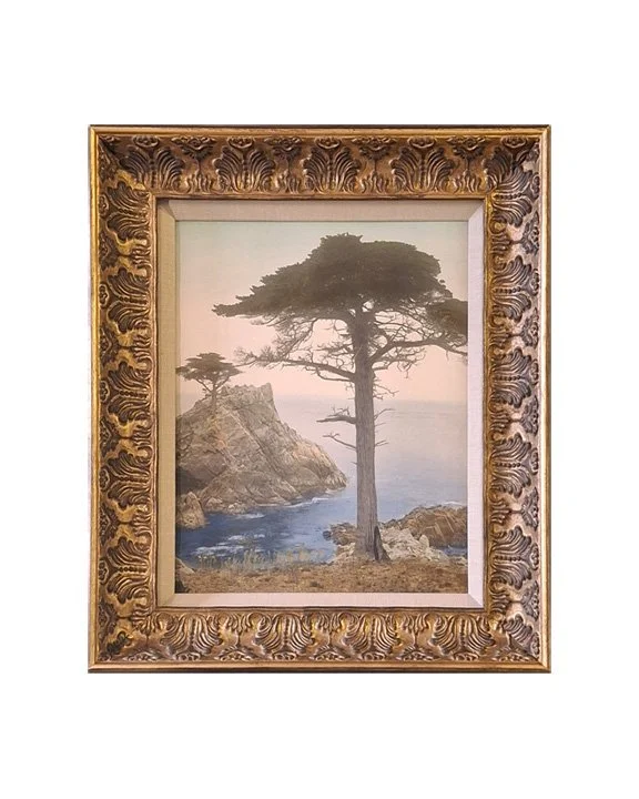 Reed Arts Picture Framing