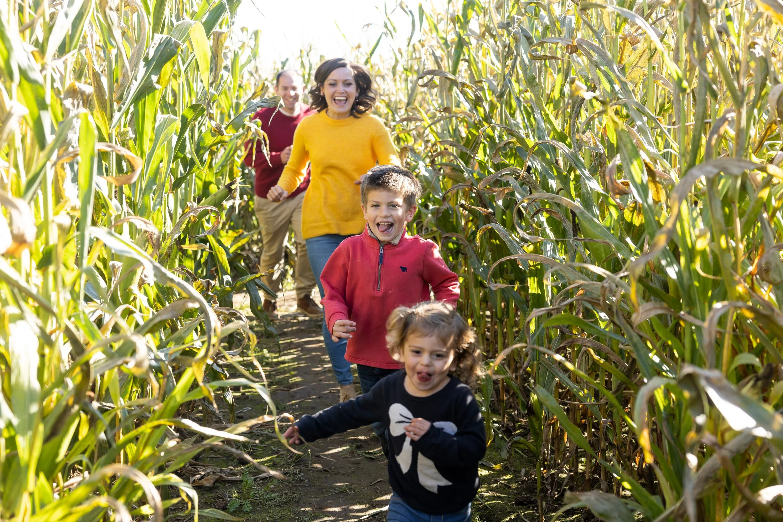 Explore Lake Placid — The Devlin