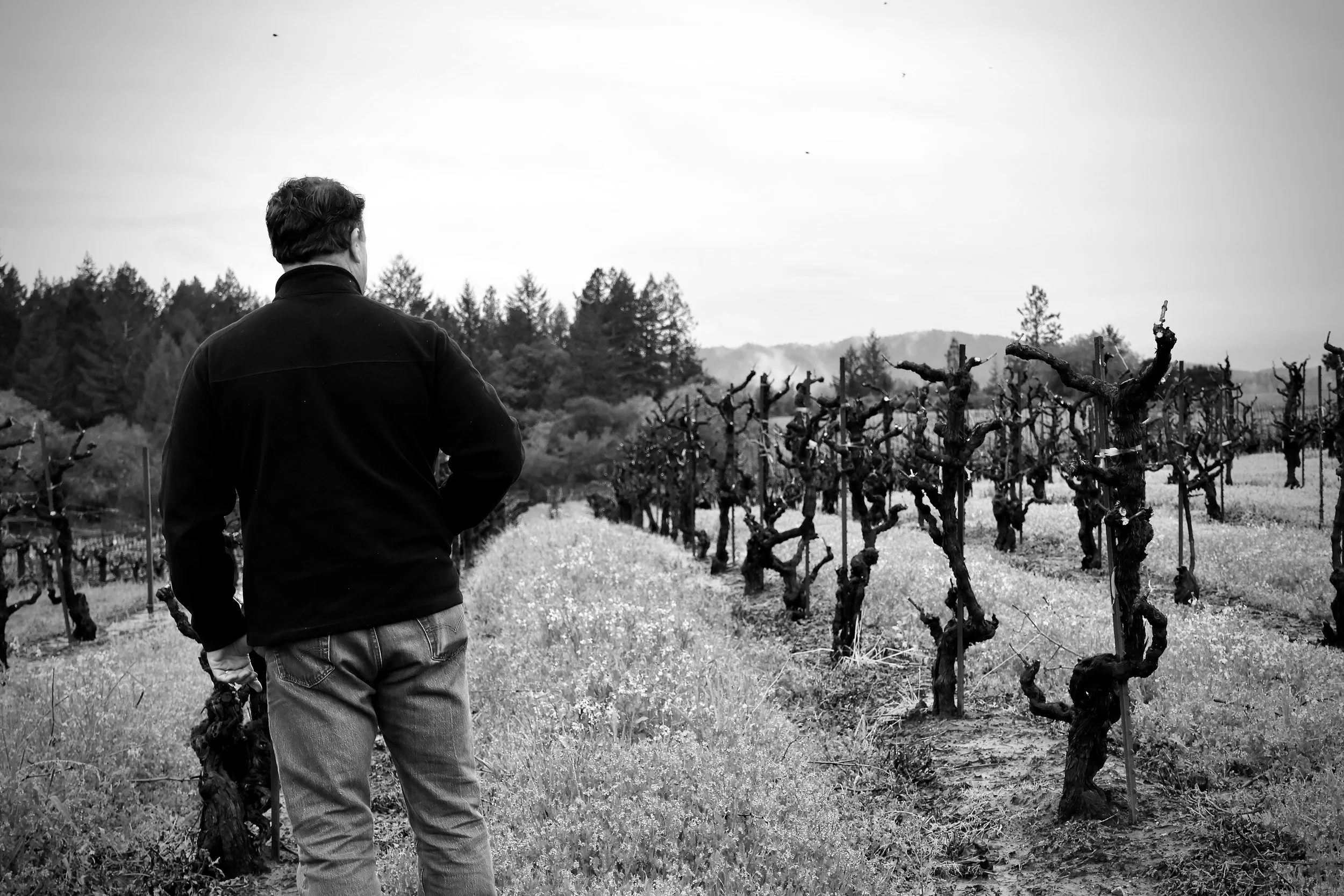 About Steve Dutton - Winegrower & Partner Dutton-Goldfield Winery