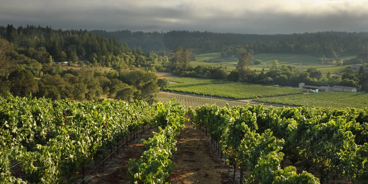 Dutton-Goldfield Winery | Russian River Valley | Wine Tasting | Pinot ...