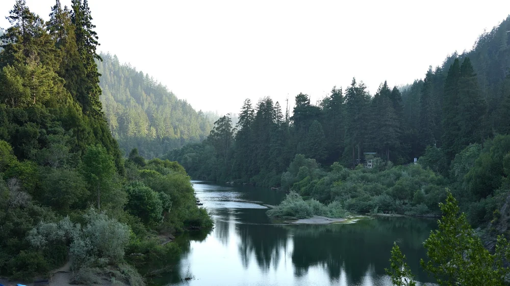 Russian River Valley