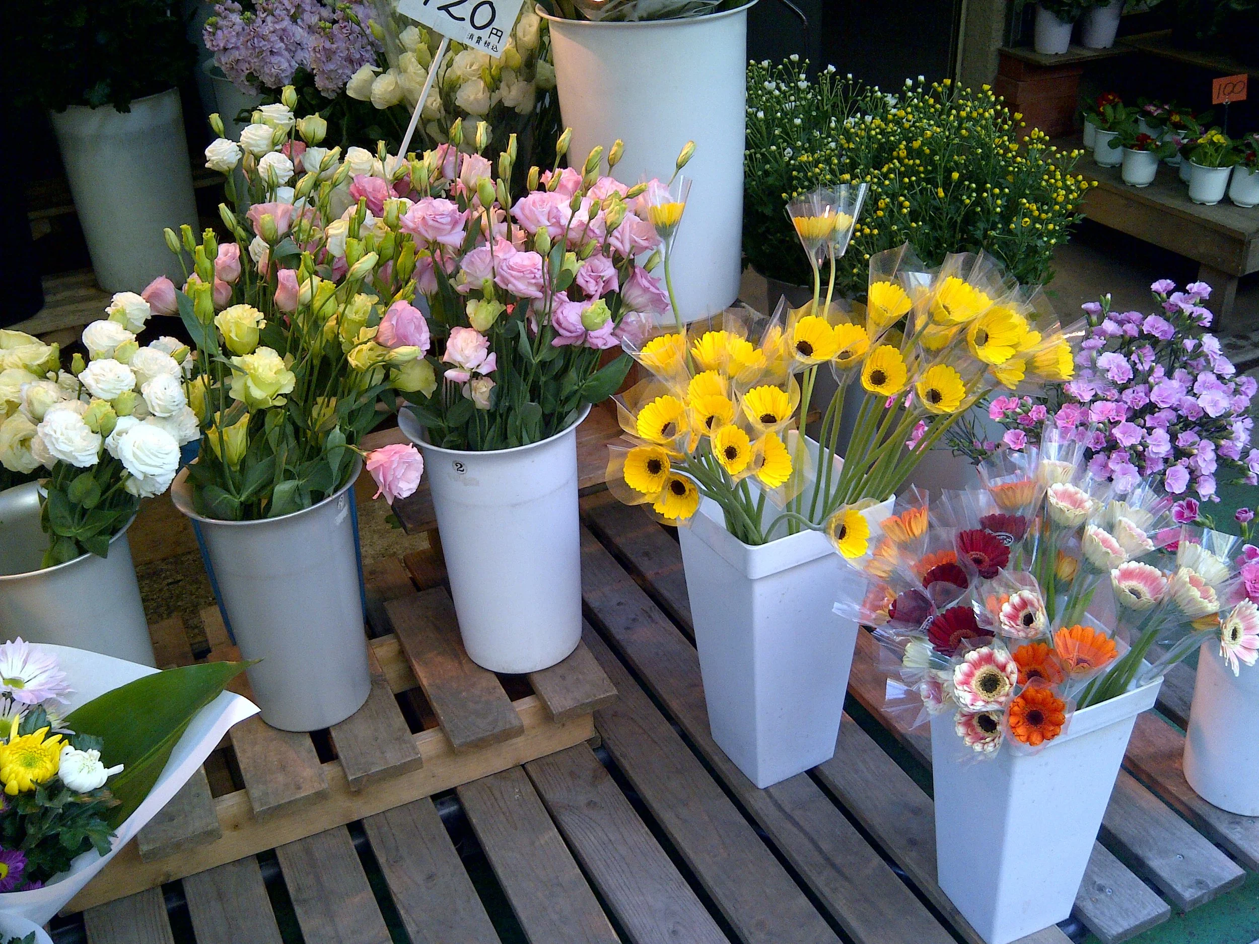 Making Cross Cultural Art — Makingyour.art