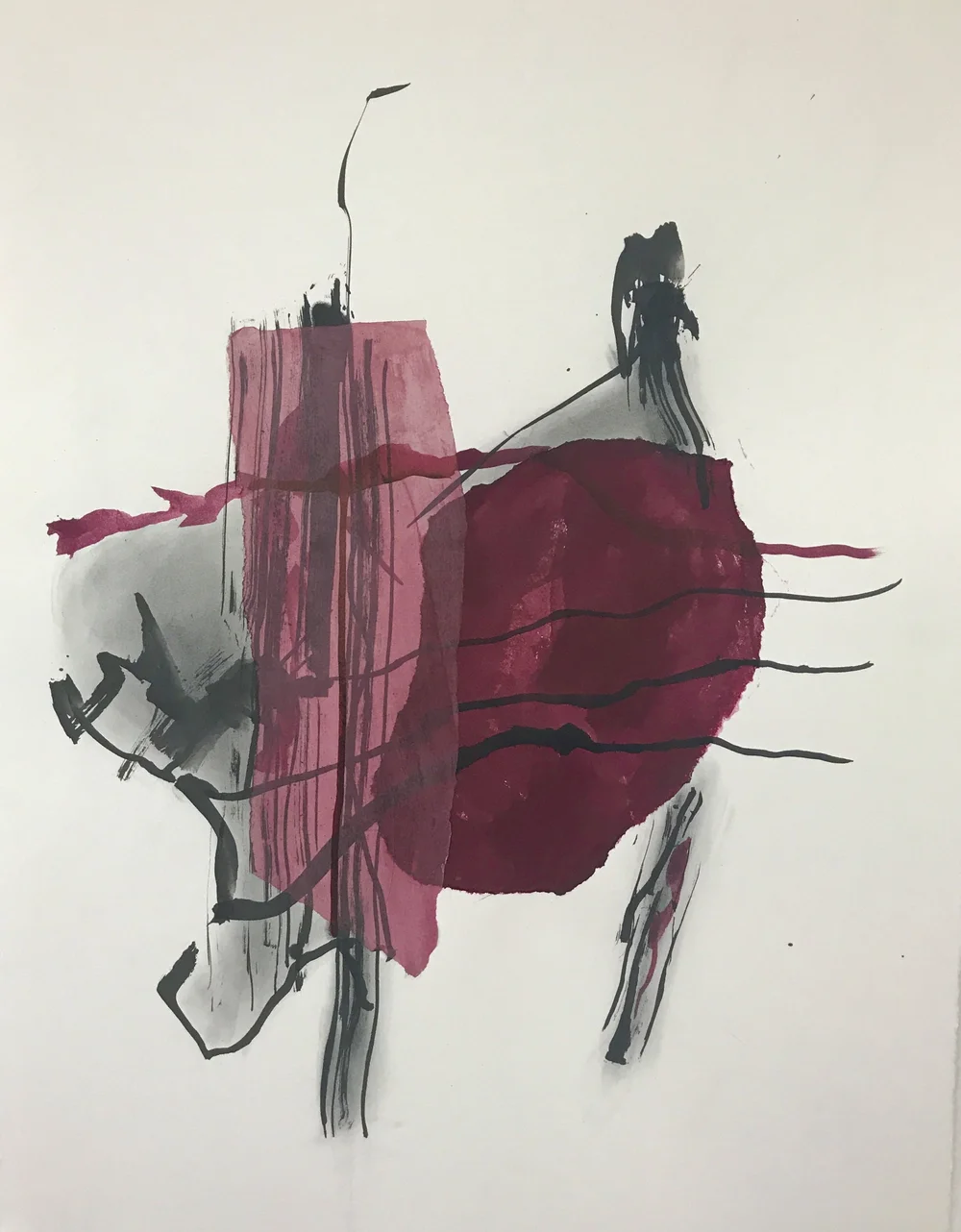 Cochineal Drawings — NANCY CUSACK