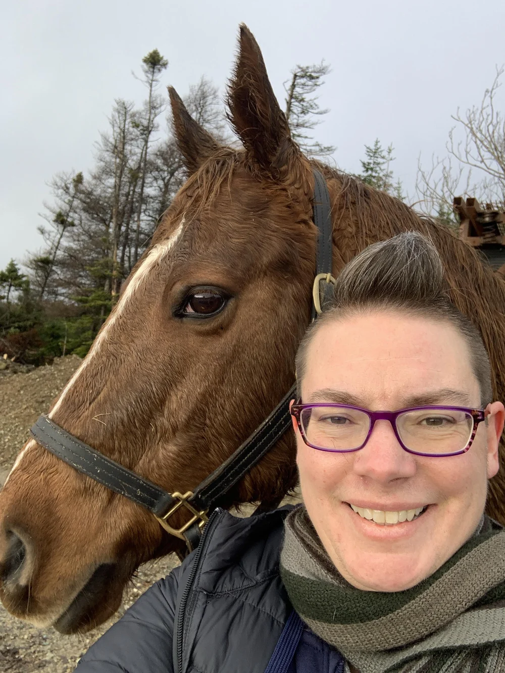 EDI Moments — Business & Arts NL