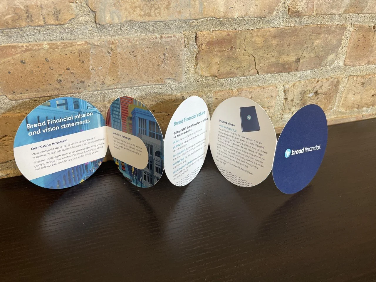 Portfolio: Custom Printed Brochures Samples in Chicago — TEAM Concept ...