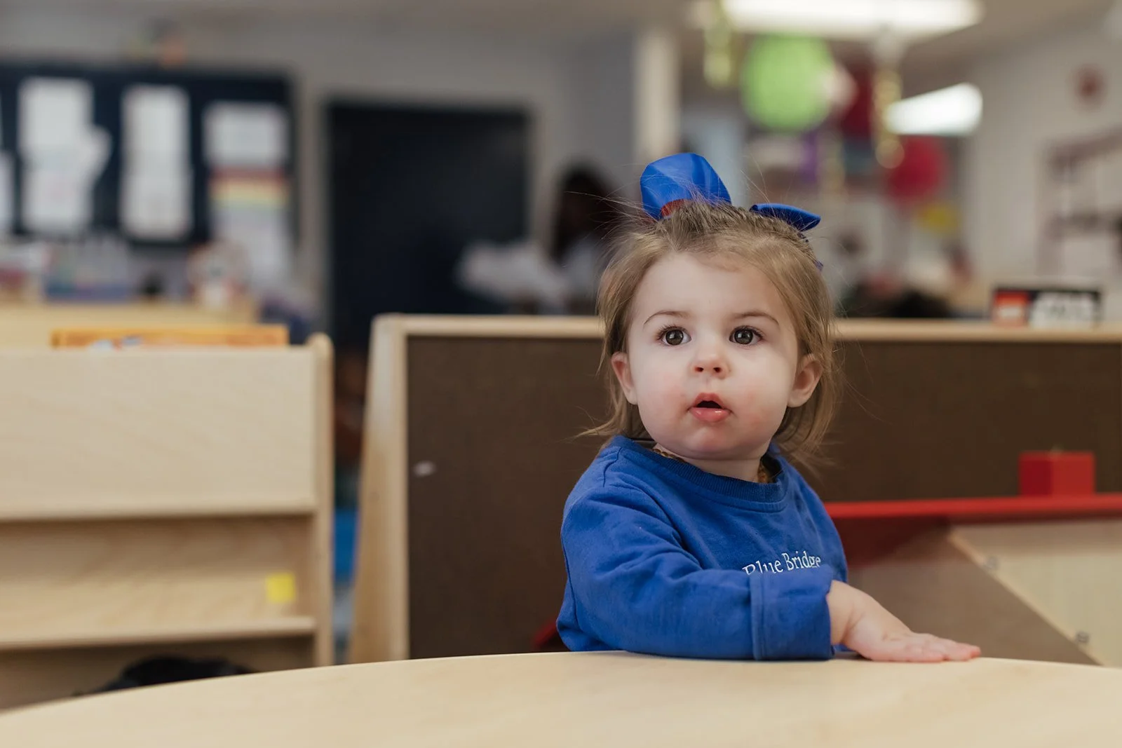 Blue Bridge ASL Academy