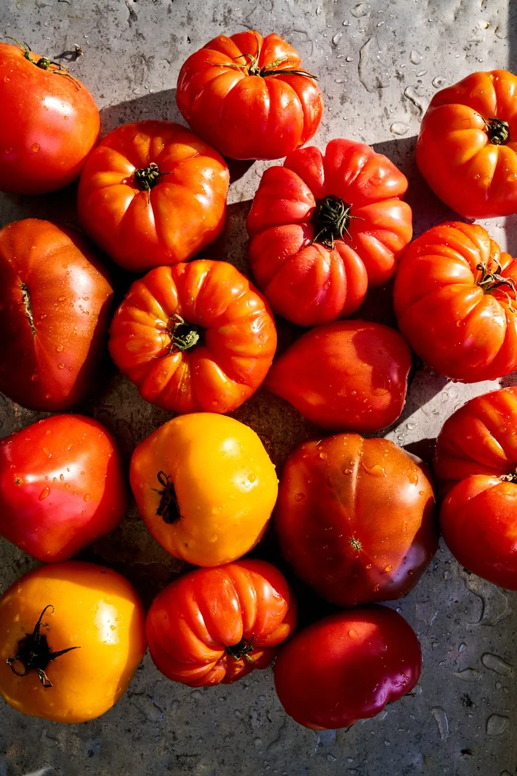 Happy Hour — James Provisions