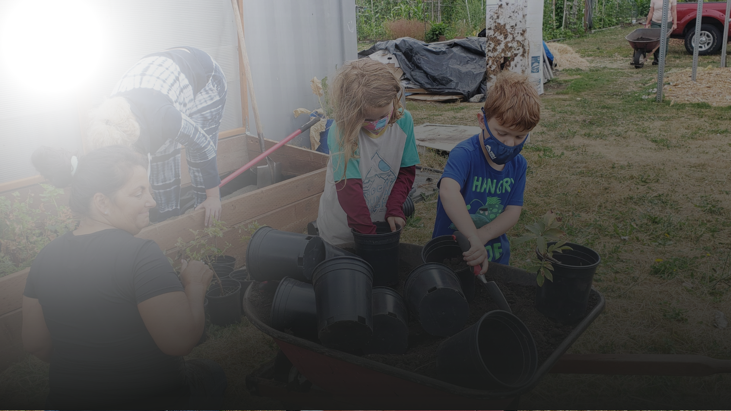 Plan Your Visit — Shark Garden