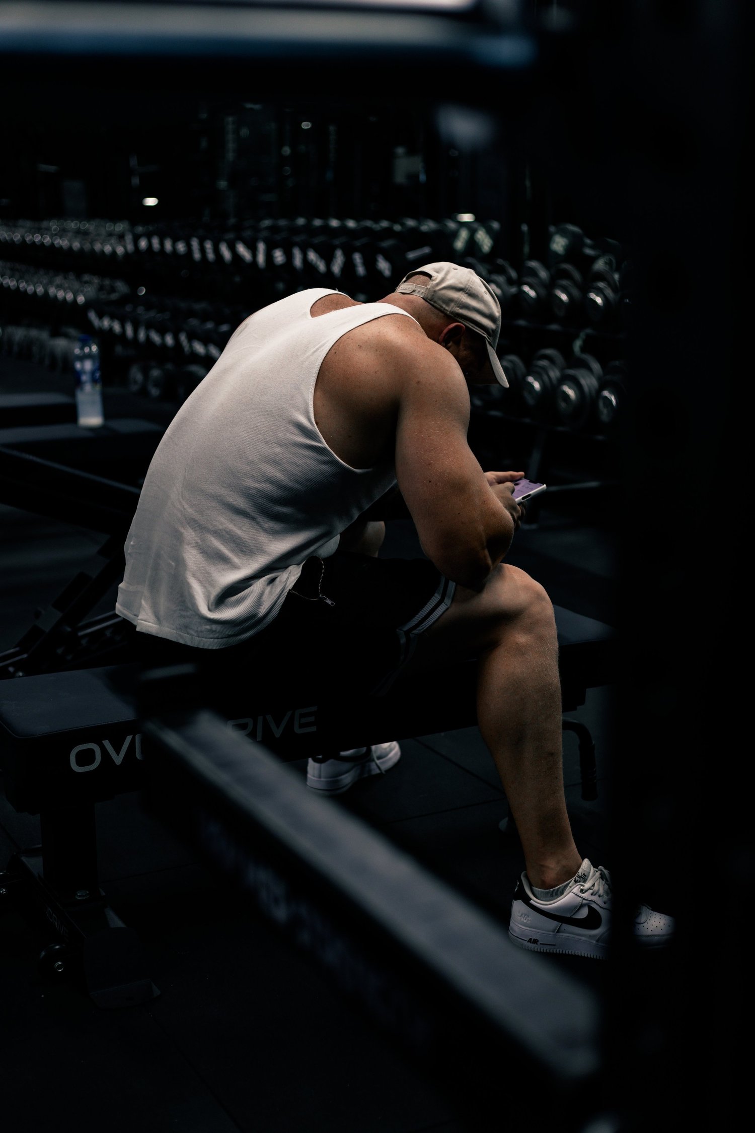 Free Calorie Calculator — APEX COACHING