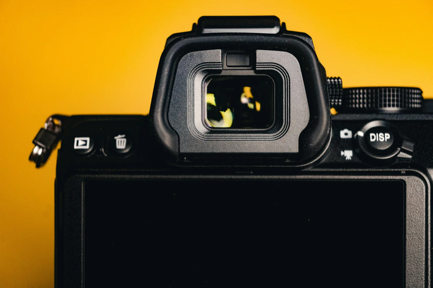 A Beginner’s Guide to Using a Mirrorless Camera for the First Time ...